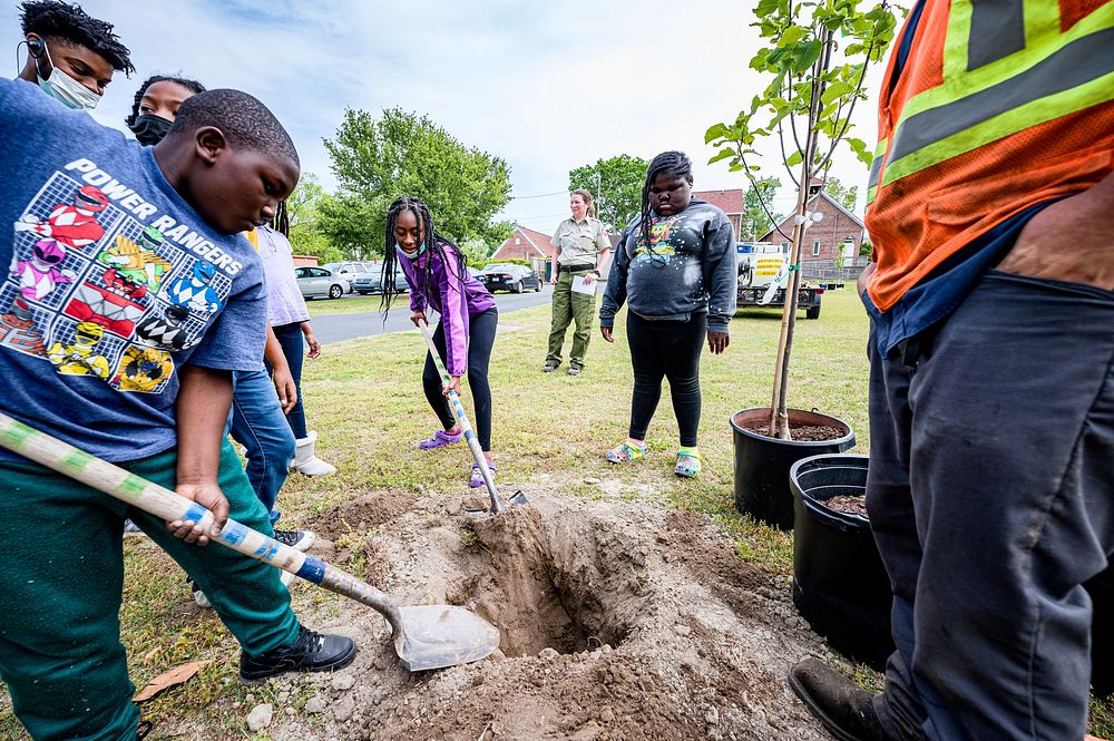 Arbor Day Celebration 2022The City | Free Photo - rawpixel