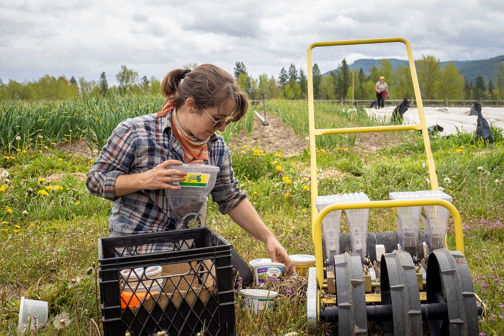 Tracy Potter-Fins Bethany Stanbery grow | Free Photo - rawpixel