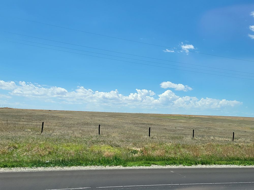 Conservation Reserve Program (CRP) field | Free Photo - rawpixel