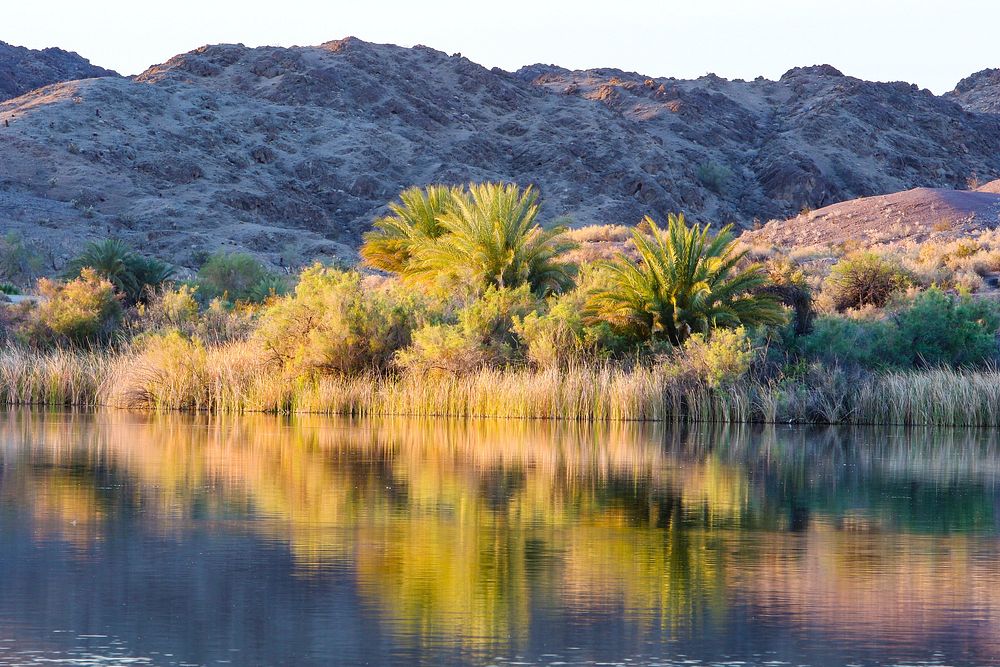 MAY 15 Riparian fuels edge | Free Photo - rawpixel