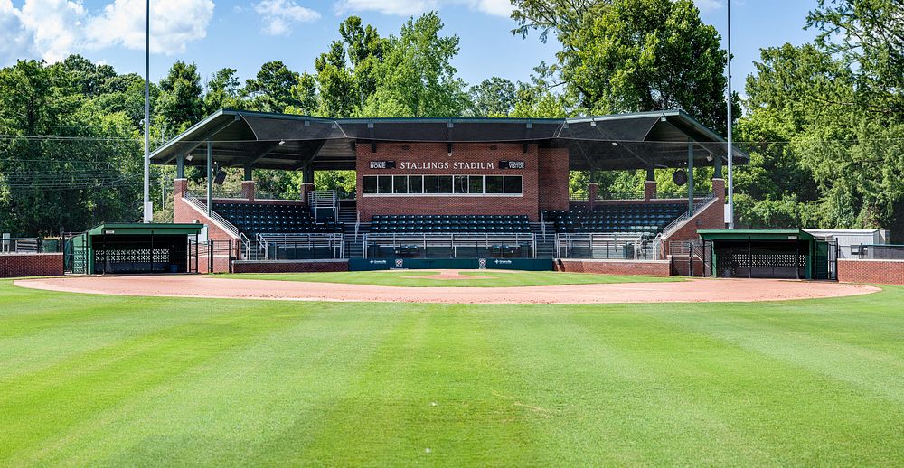 Stallings StadiumStallings Stadium at Elm | Free Photo - rawpixel