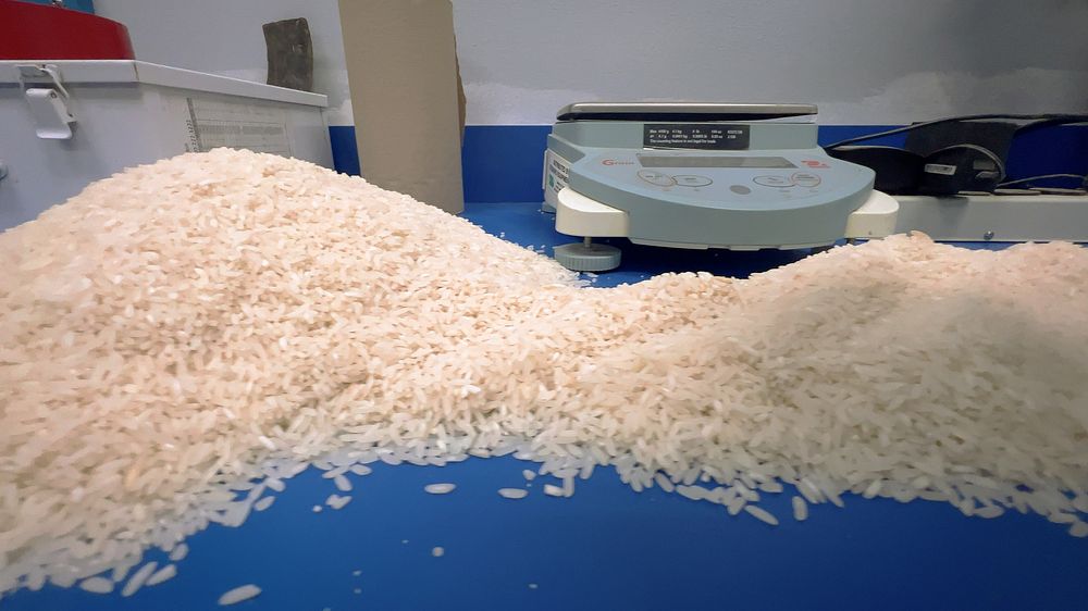 USDA’s Farm Service Agency Administrator | Free Photo - rawpixel