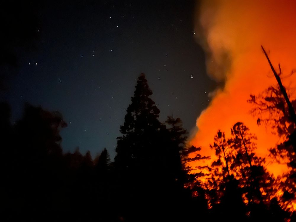 Six Rivers Lightning ComplexSix Rivers | Free Photo - rawpixel