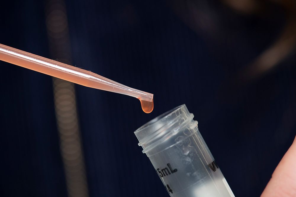 A DNA sample is drawn | Free Photo - rawpixel