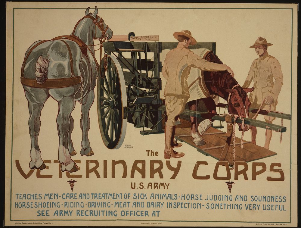 Veterinary Corps, U.S. Army, teaches | Free Photo - rawpixel