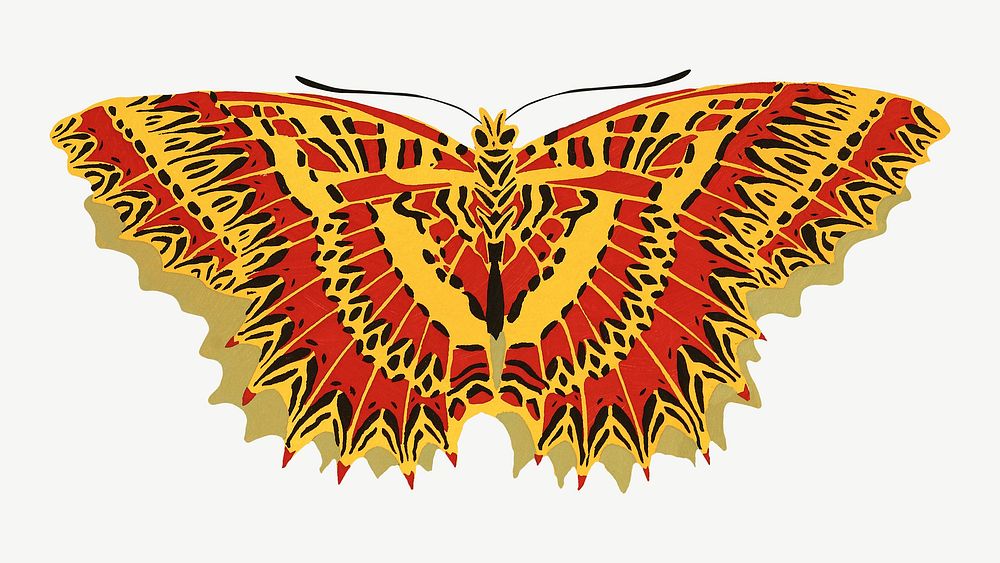 Red exotic butterfly, insect collage | Premium PSD Illustration - rawpixel