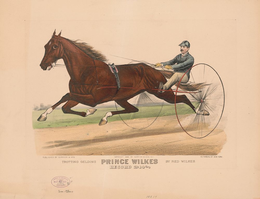 Trotting stallion Nelson, Young Rolfe: | Free Photo - rawpixel