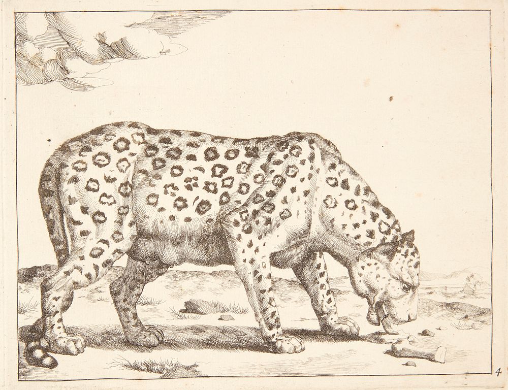 Snow leopard Marcus de Bye | Free Photo Illustration - rawpixel