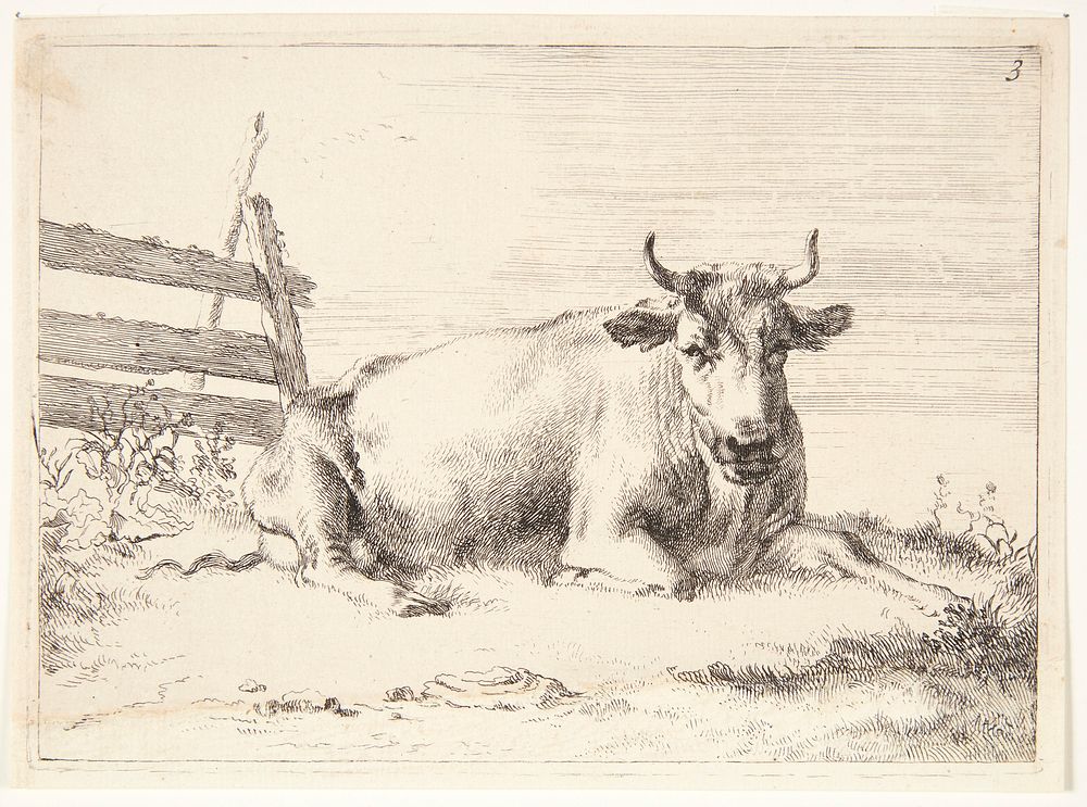 Lying cow | Free Photo Illustration - rawpixel