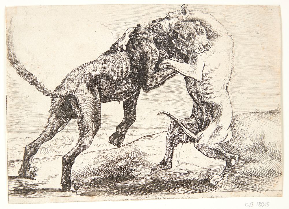 Two dogs fighting Paulus Van | Free Photo Illustration - rawpixel