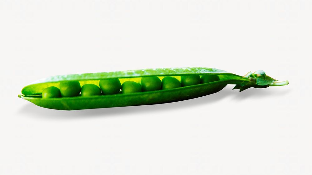 Open pea pod isolated design | Free Photo - rawpixel