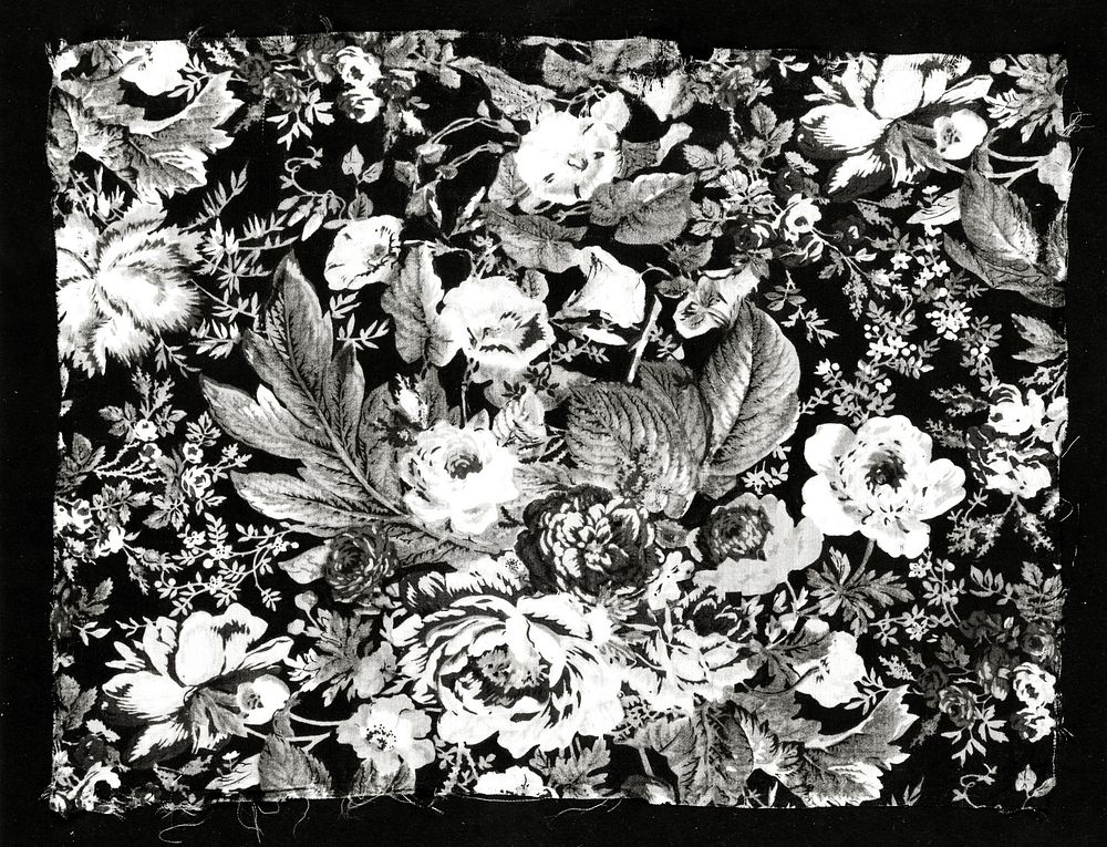 Fragment | Free Photo Illustration - rawpixel