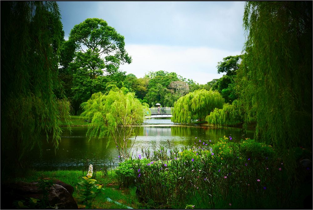 Bishan Images | Free Photos, PNG Stickers, Wallpapers & Backgrounds ...