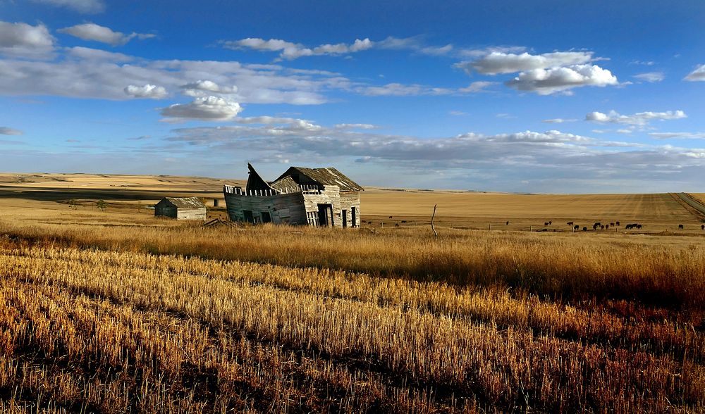 Alone prairie.The Canadian Prairies (usually | Free Photo - rawpixel