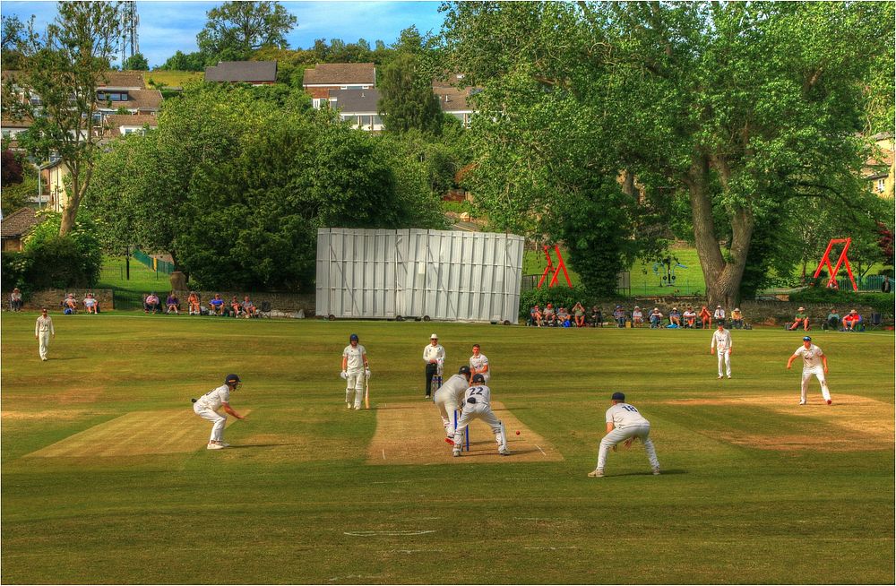 Richmondshire CCHarry Sullivan bowling. Familiar | Free Photo - rawpixel