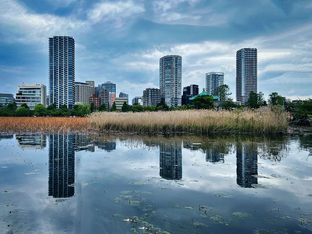 Towers, Shinobazu Pond, Tokyo, JapanLooking | Free Photo - rawpixel
