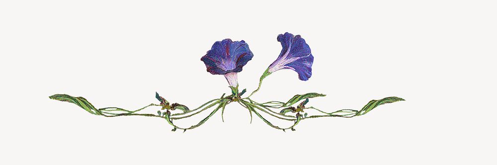 Vintage morning glory flower illustration | Premium Photo Illustration ...