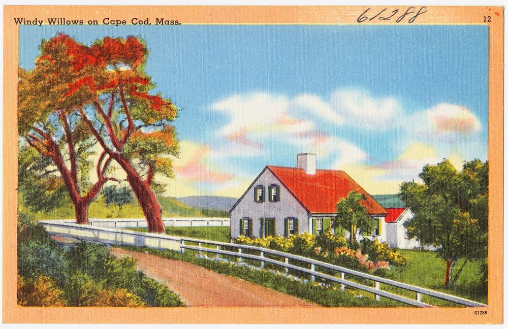 Windy Willows Cape Cod, Mass. | Free Photo - rawpixel