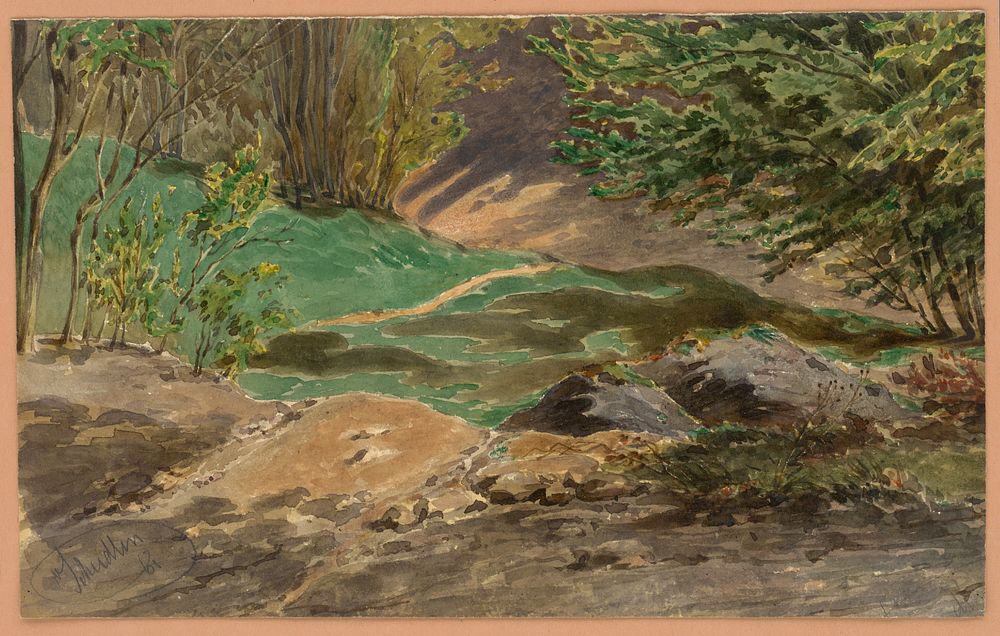 Forest still life by Friedrich | Free Photo - rawpixel