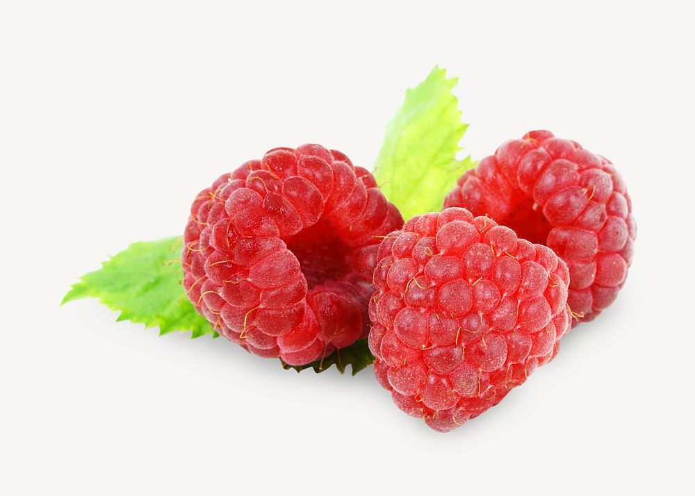 Raspberries fruit, food isolated design | Free Photo - rawpixel