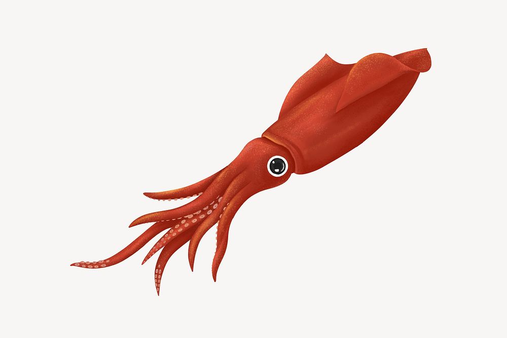 Red squid animal illustration, white | Premium Photo Illustration ...