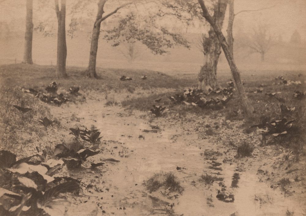 Spring Landscape (1890s) Robert S | Free Photo - rawpixel