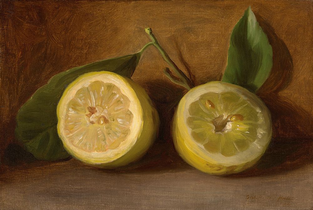Lemons (1884) George Henry Hall | Free Photo Illustration - rawpixel