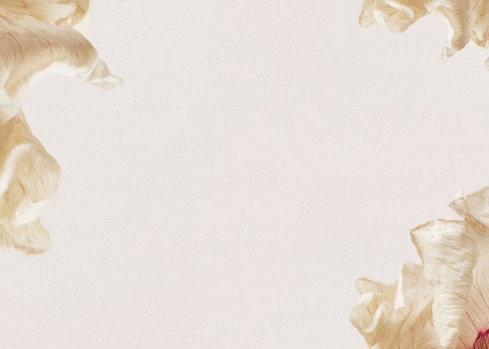Beige aesthetic background, floral border | Premium Photo - rawpixel