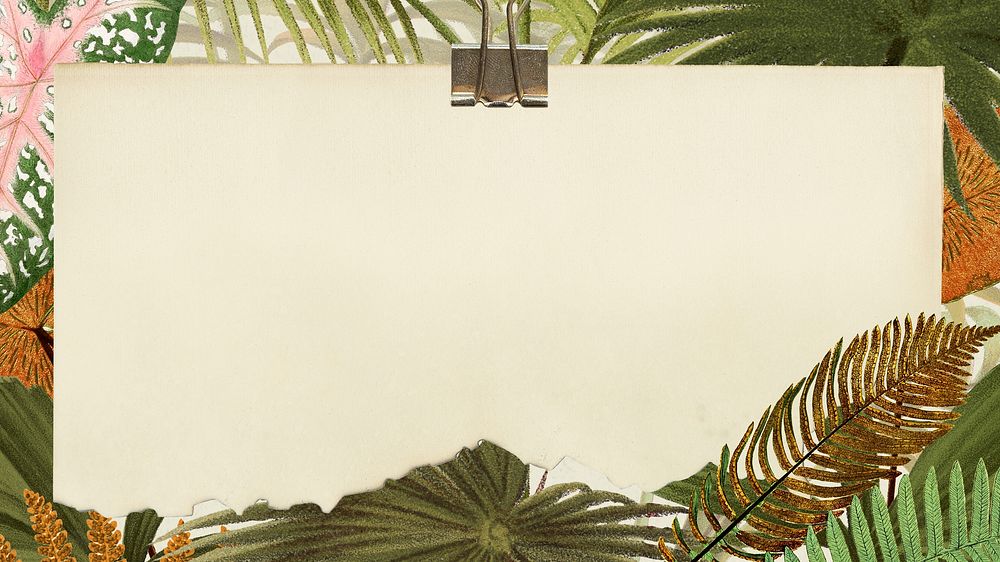 Tropical jungle frame HD wallpaper, | Premium Photo - rawpixel