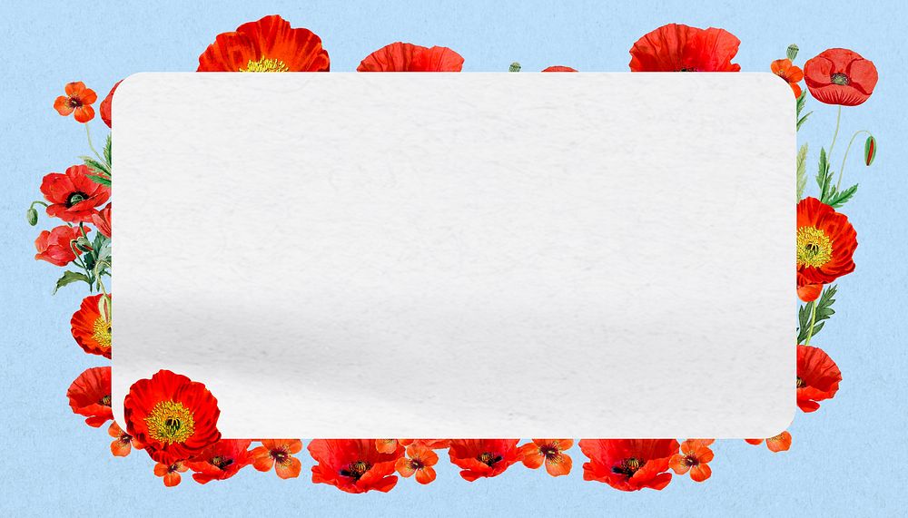 Red poppy frame, Summer flower | Premium Photo - rawpixel