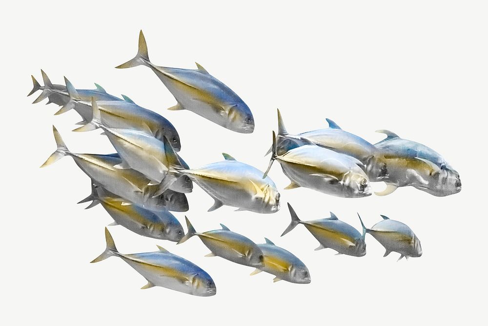 Colorful fish psd isolated design | Premium PSD - rawpixel