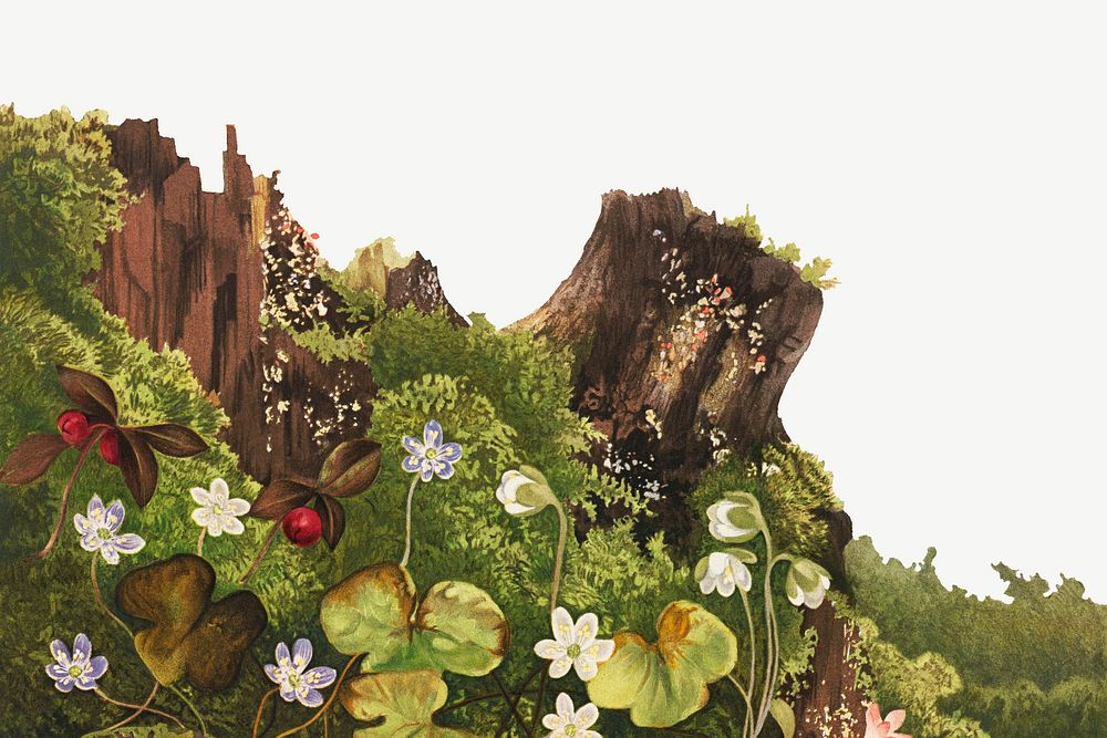 Tree stump illustration border collage | Premium PSD - rawpixel