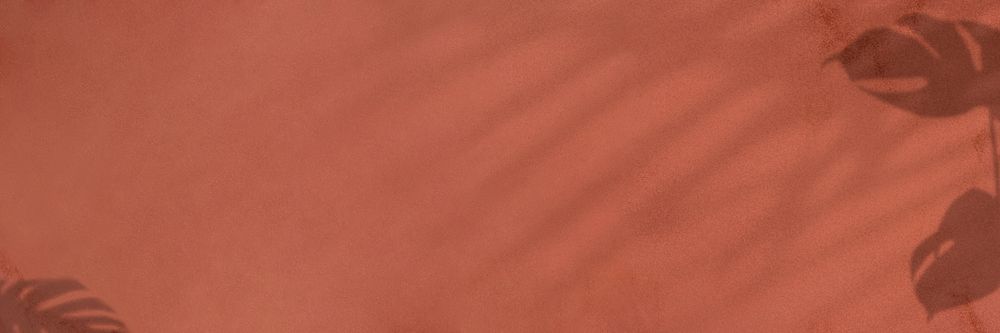 Tropical leaf shadow background | Premium Photo - rawpixel