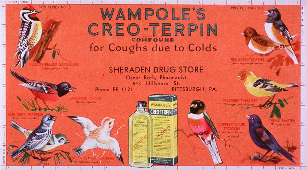 Wampole's Creo-Terpin Compound | Free Photo Illustration - rawpixel