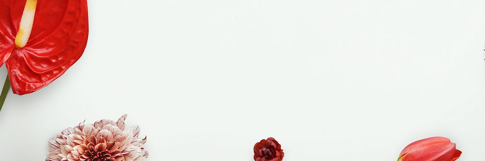 Anthurium flower border background | Premium Photo - rawpixel