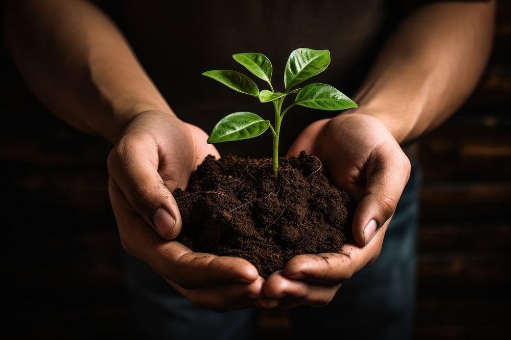 Plant a tree, reforestation | Free Photo - rawpixel