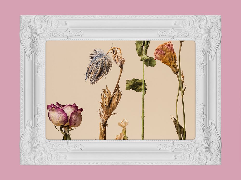 White vintage picture frame | Free Photo - rawpixel