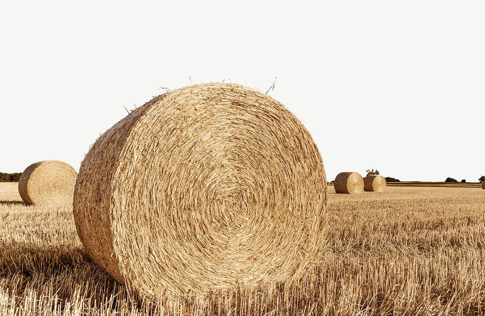 Huge round hay bale border | Free PSD - rawpixel