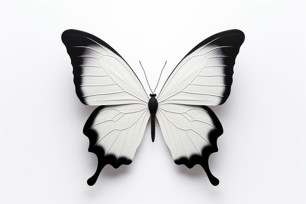 Butterfly animal insect white. AI | Free Photo Illustration - rawpixel