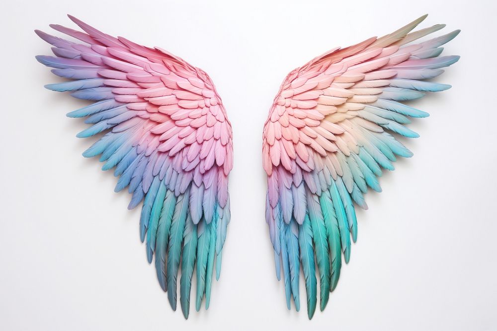 Angel wing bird art | Free Photo - rawpixel