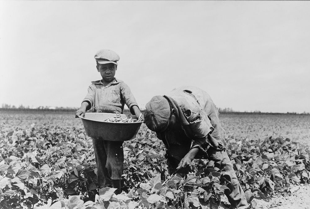 Southeast Missouri Farms. Children sharecropper | Free Photo - rawpixel