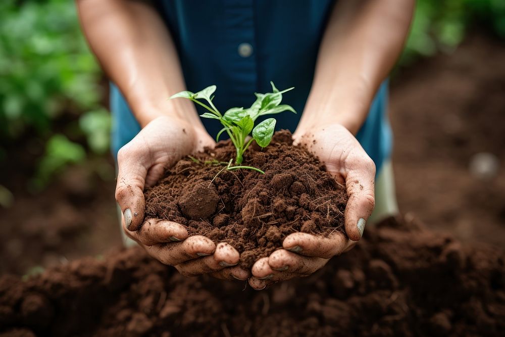 Garden soil gardening planting | Free Photo - rawpixel