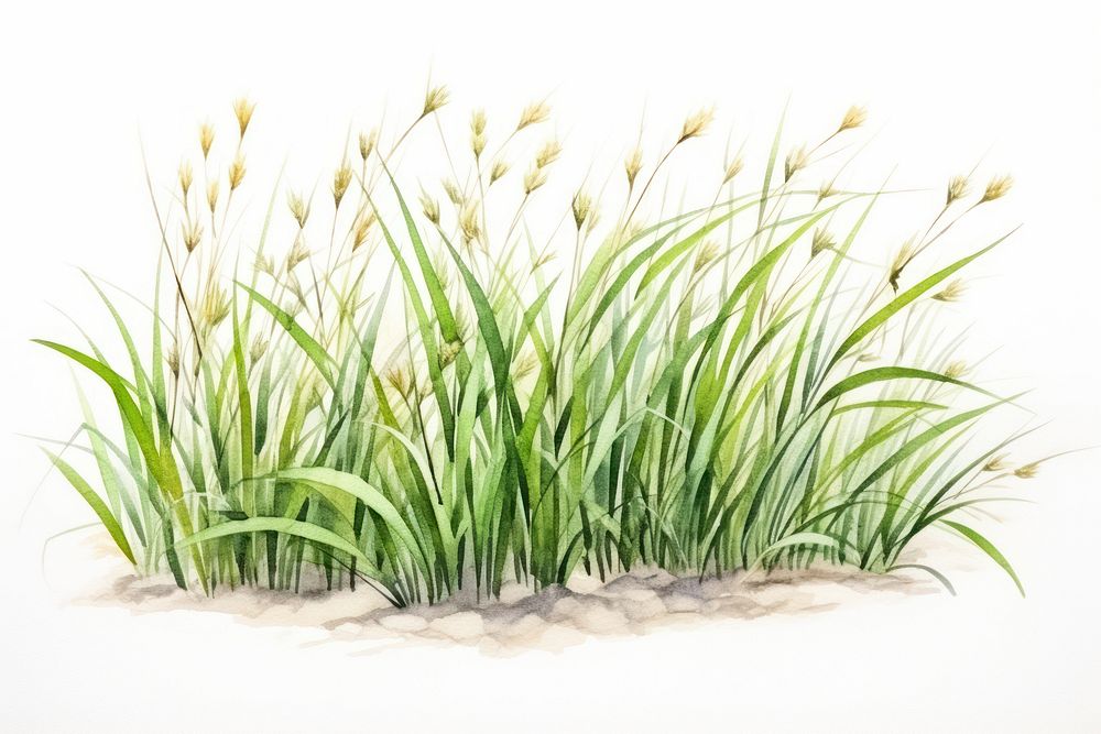 Grass plant tranquility wheatgrass. AI | Free Photo - rawpixel