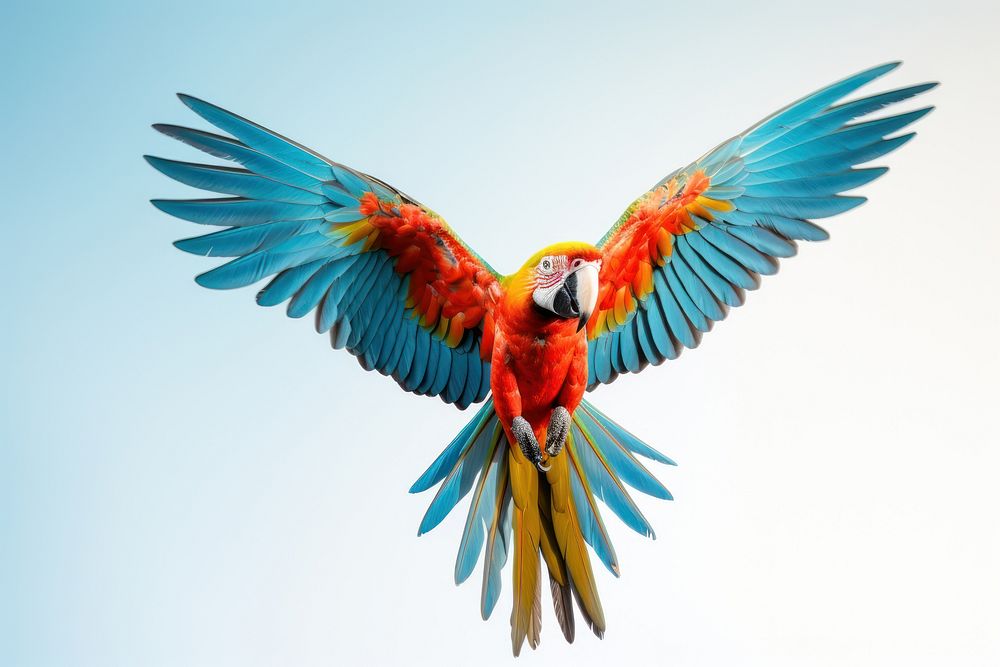 Parrot animal macaw bird. AI | Premium Photo - rawpixel