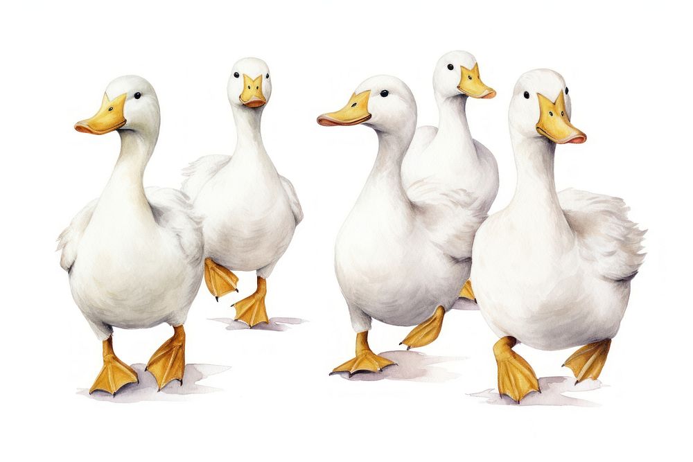 Duck animal yellow goose. | Premium Photo Illustration - rawpixel