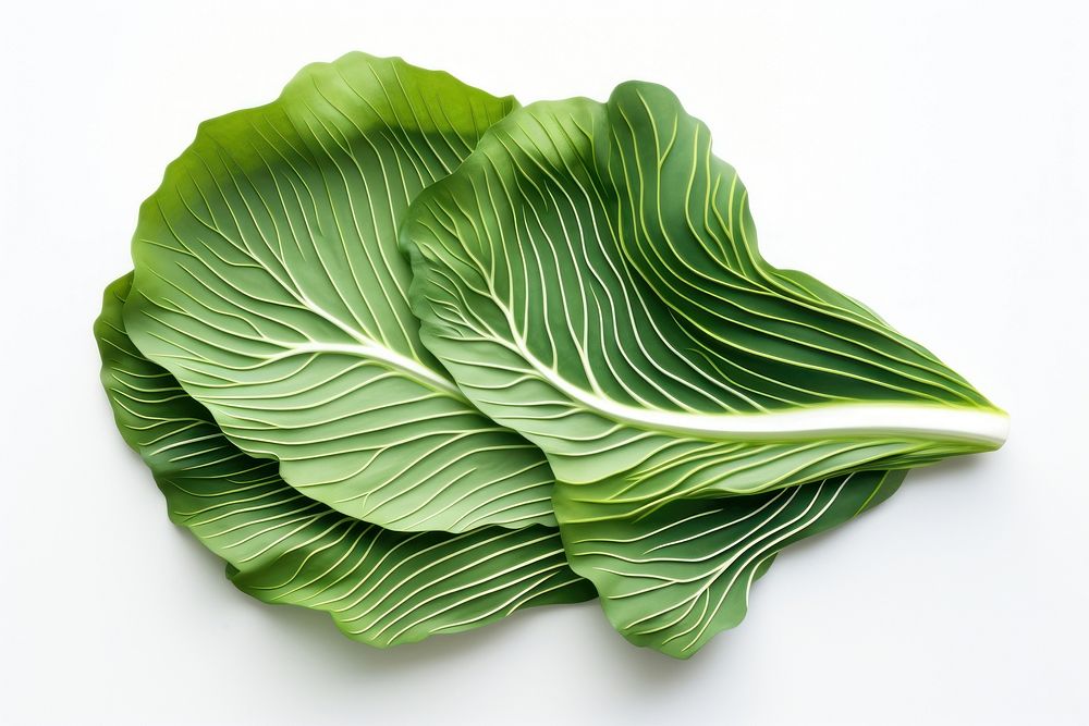 Vegetable leaf plant food. AI | Premium Photo - rawpixel