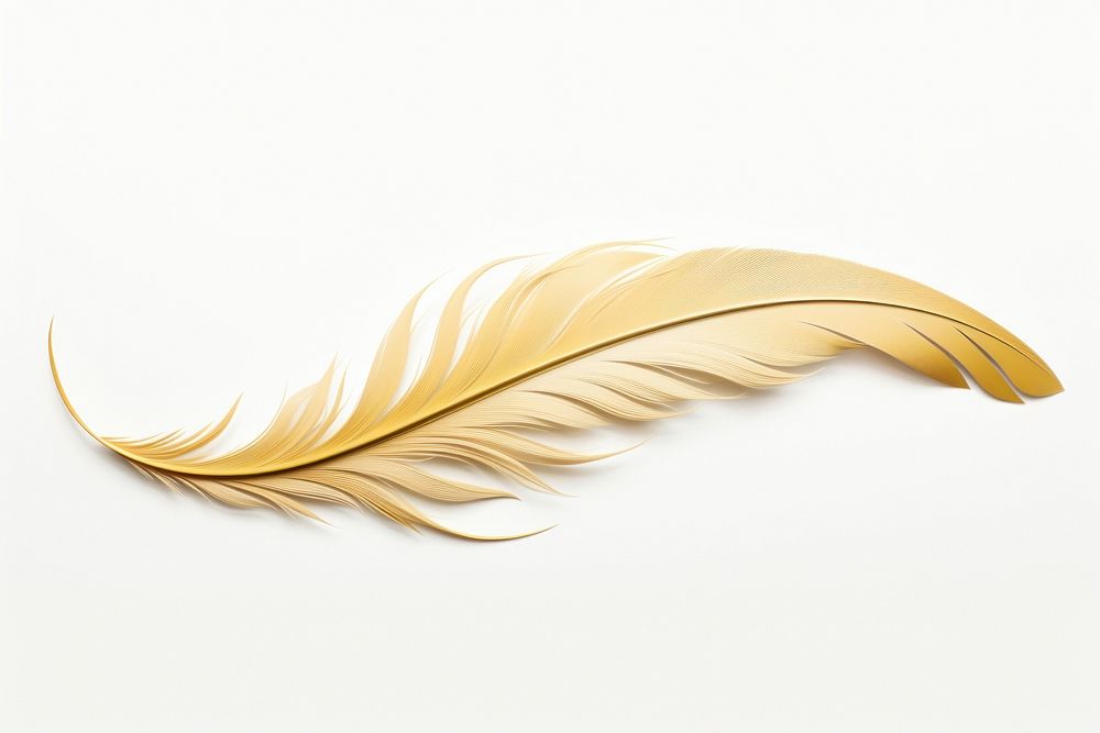 Feather pattern gold bird. | Premium Photo - rawpixel