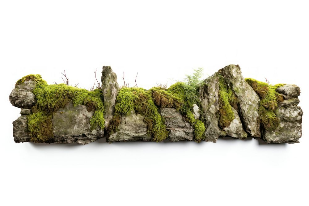 Moss wall outdoors nature. AI | Premium Photo - rawpixel