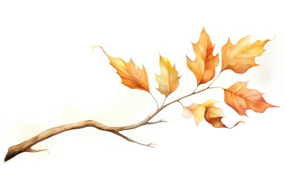 Tree falling branch plant. | Free Photo - rawpixel