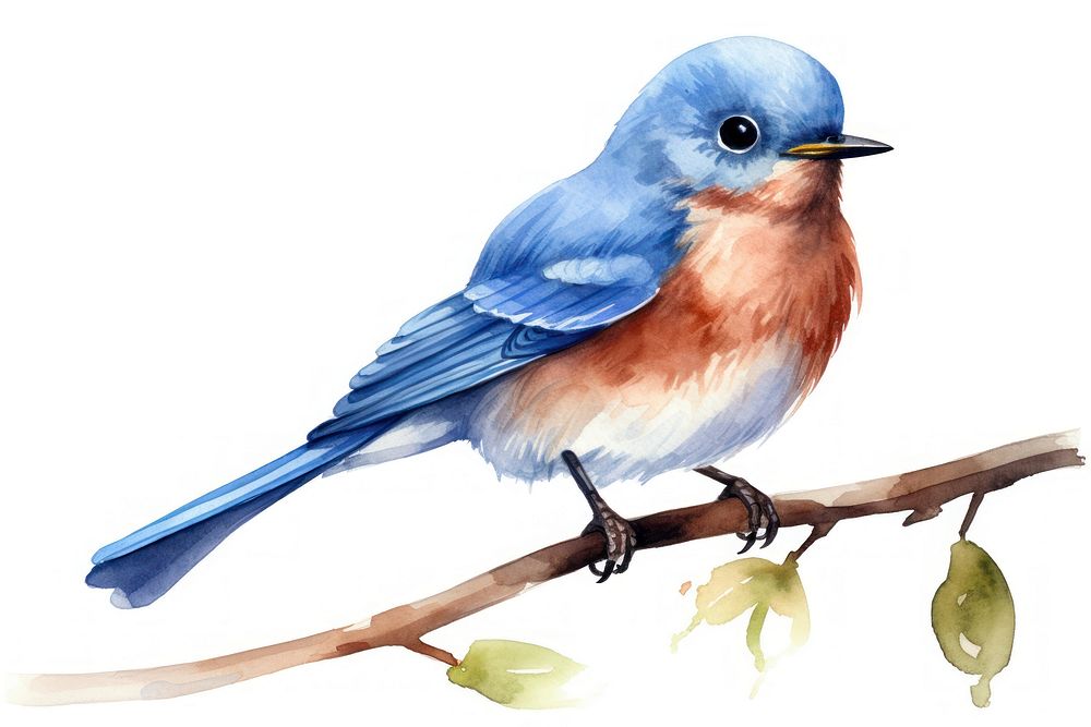 Bird bluebird cartoon animal. AI | Premium Photo Illustration - rawpixel